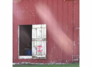 i remember – A Sawyer's Daughter