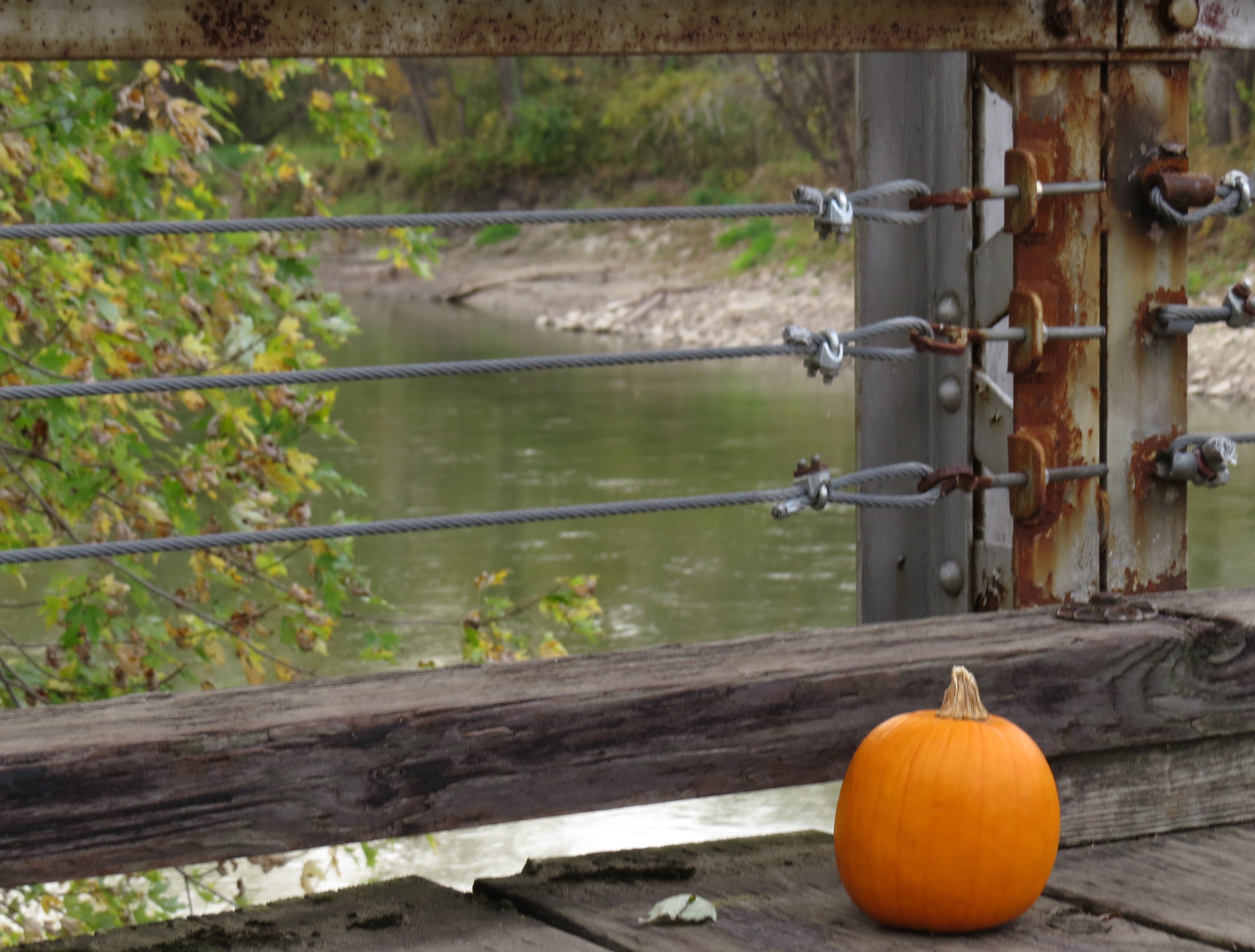 Of Rust & Pumpkin – A Sawyer's Daughter