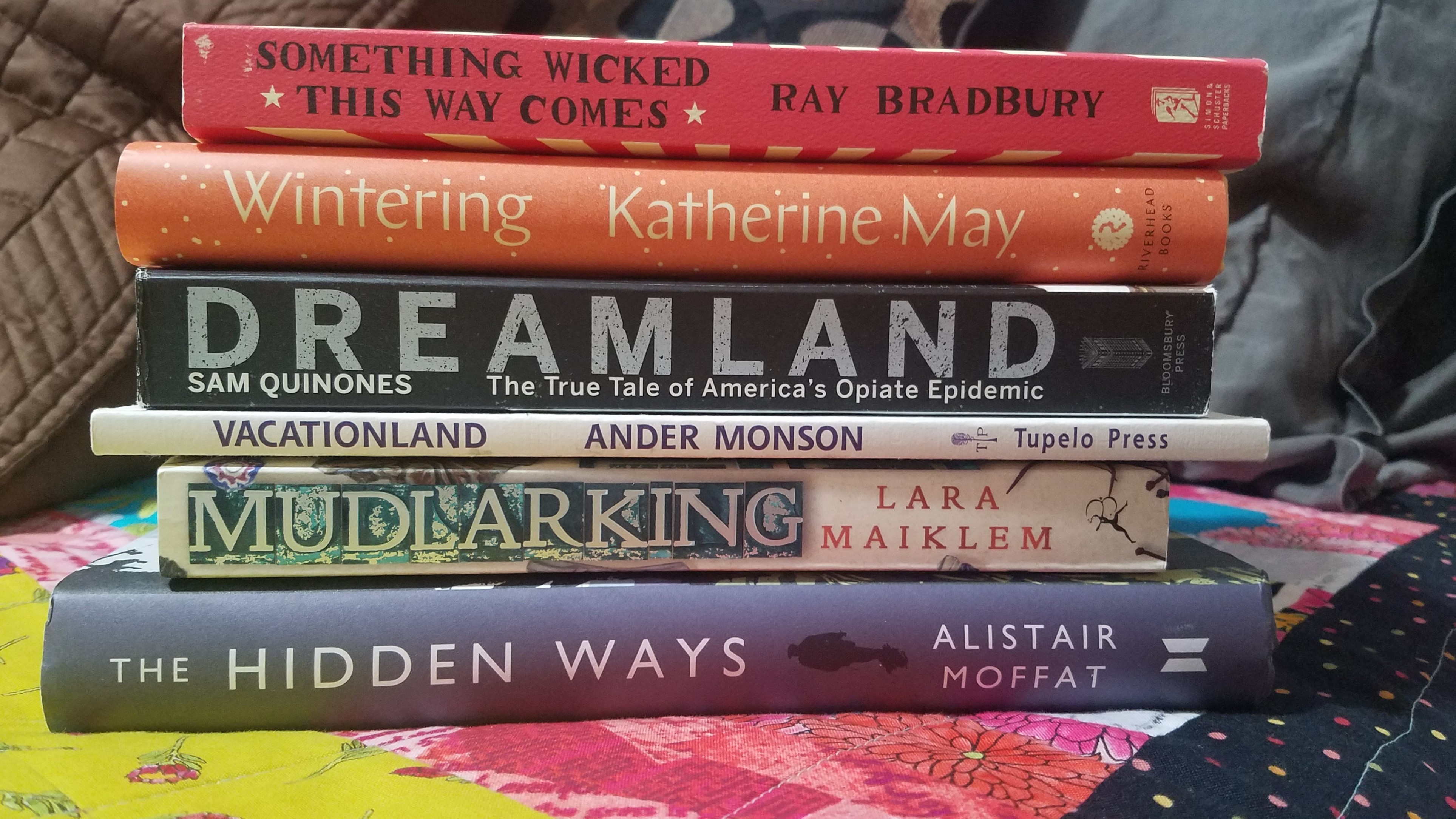 Book Spine Poetry: iv. – A Sawyer's Daughter