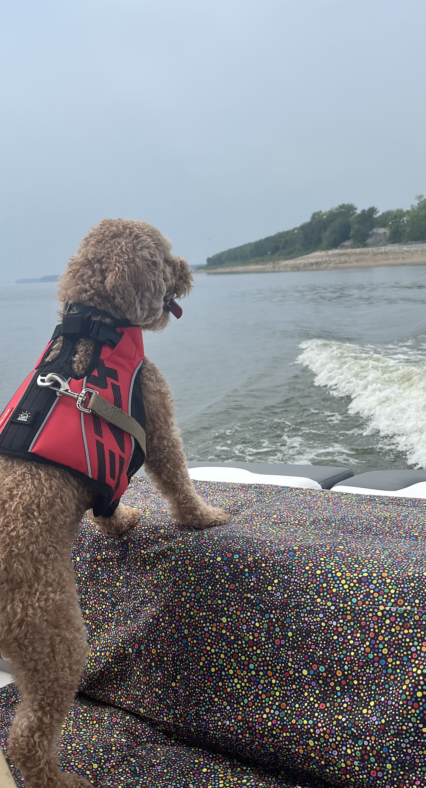 Capt. Bill & First Mate Coco – A Sawyer's Daughter